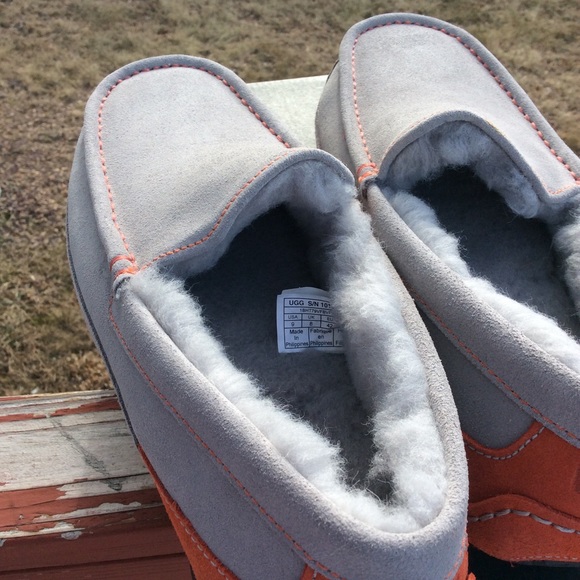 UGG | Shoes | Ugg M Ascot Slippers | Poshmark